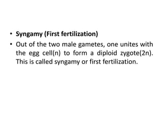 Double fertilization | PPTX