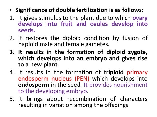 Double fertilization