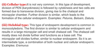 Double fertilization and triple fusion | PPTX