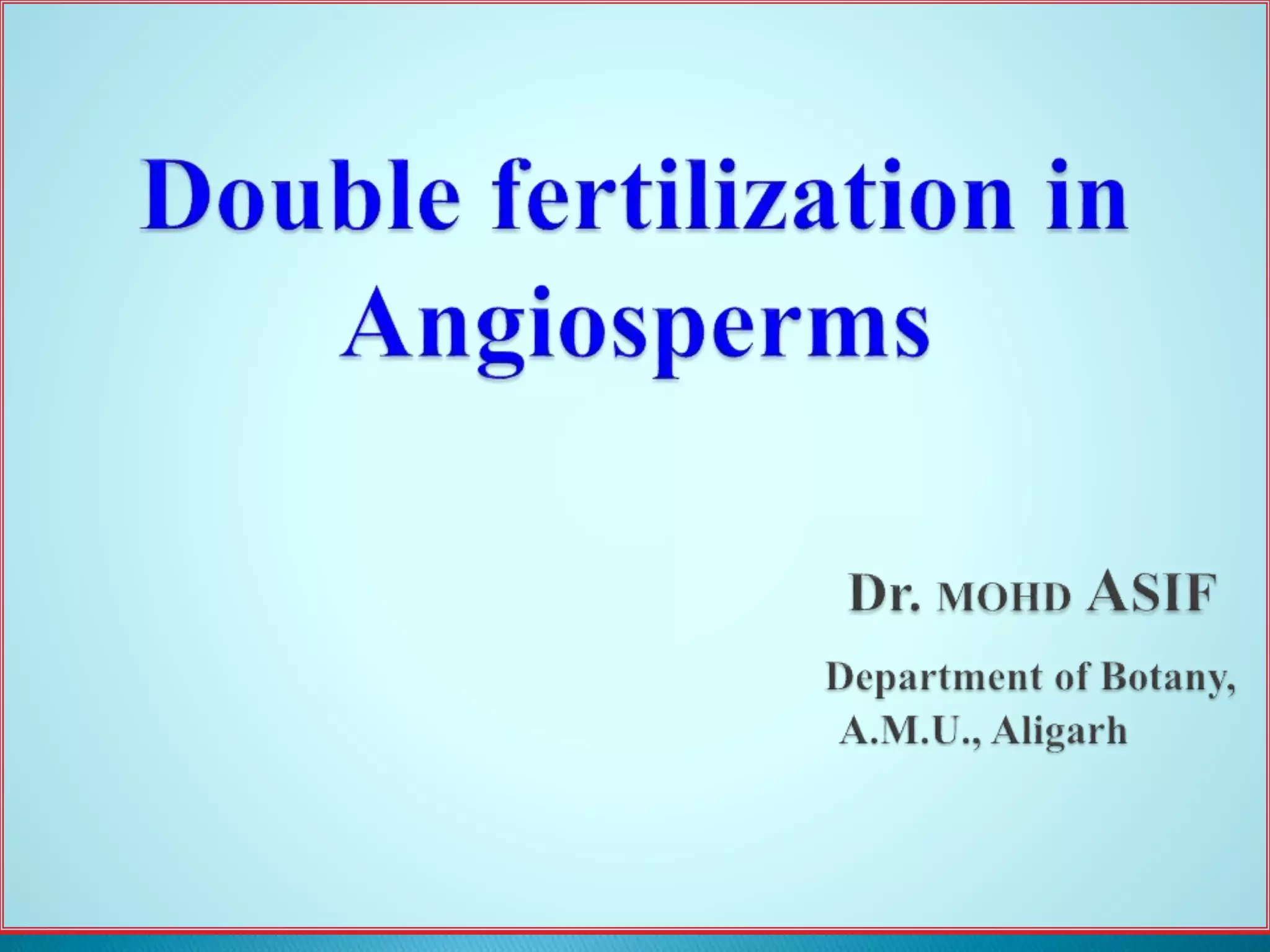 Double fertilization in angiopserms | PPTX