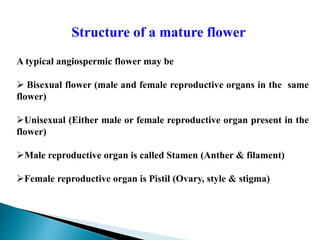 Double fertilization in angiopserms | PPTX