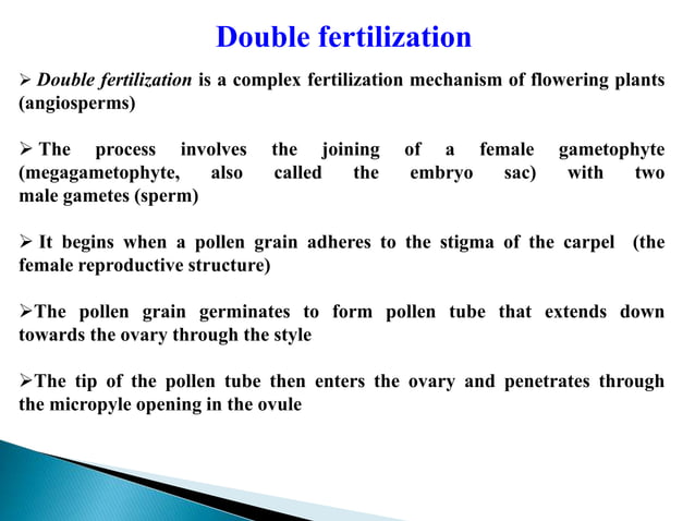 Double fertilization in angiopserms | PPTX