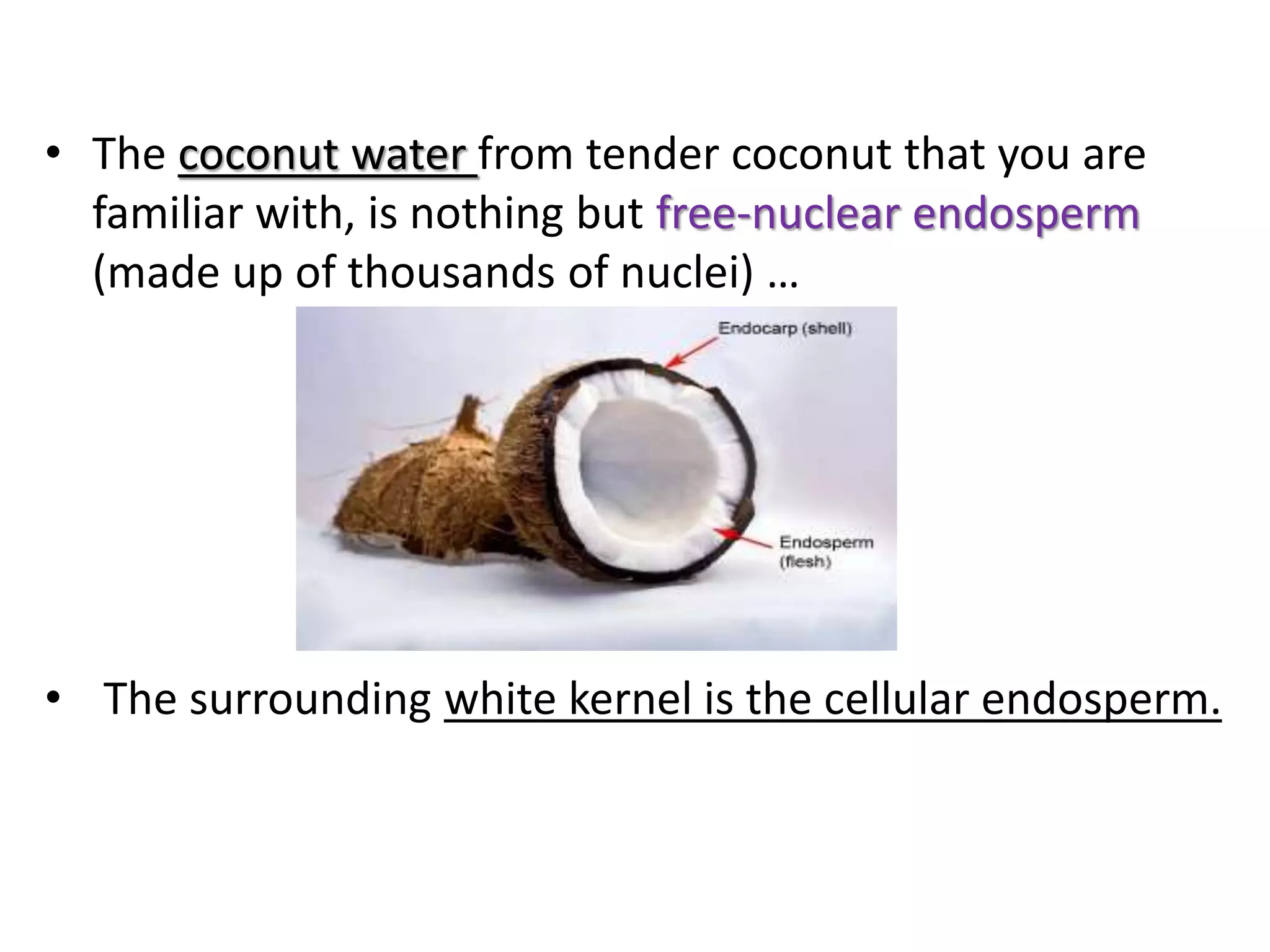 Double fertilization in plants, Monocot and Dicot embryo, Endospermic ...
