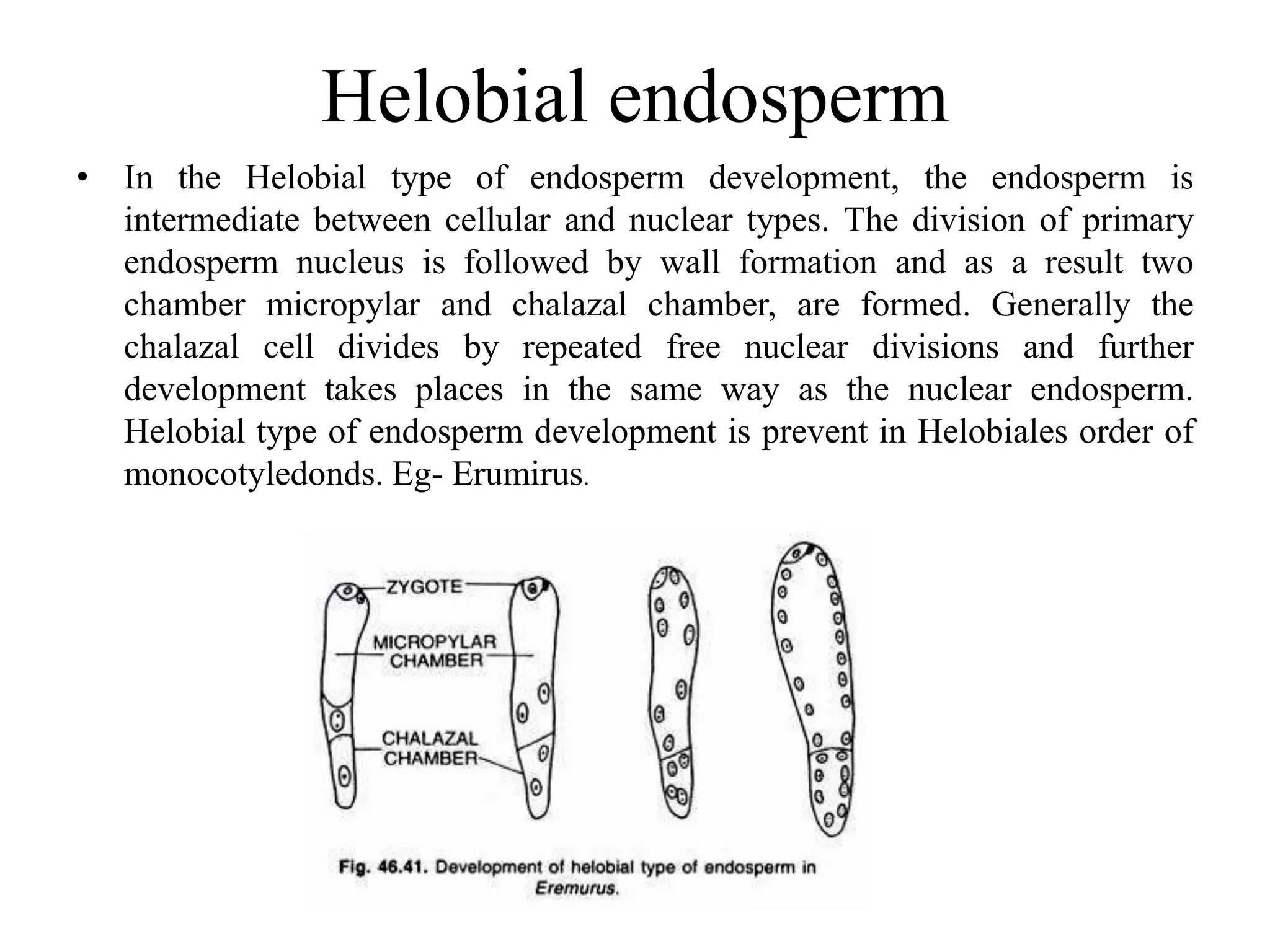 Double fertilization & triple fusion | PPTX