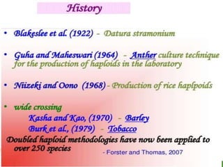 Double haploid production | PPTX