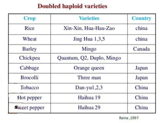 Double haploid production | PPTX
