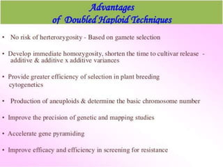 Double haploid production | PPTX