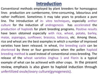 Double haploid production | PPTX