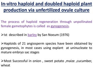 Double haploid production | PPTX