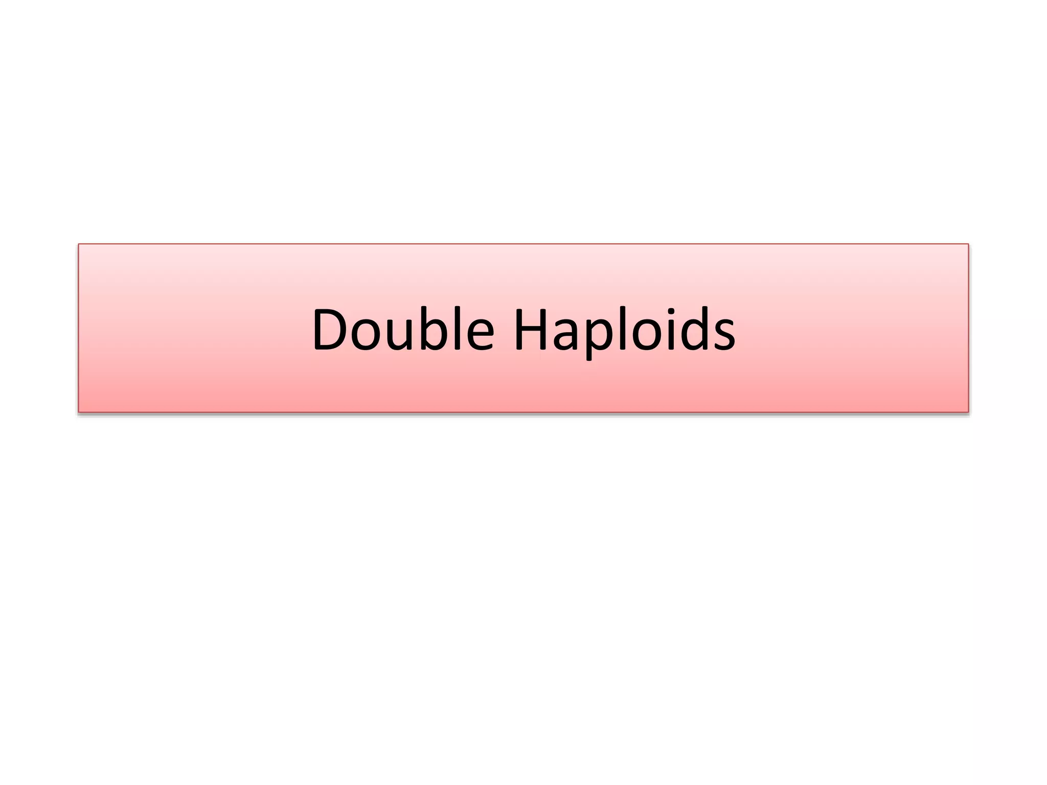 Double haploids | PPTX