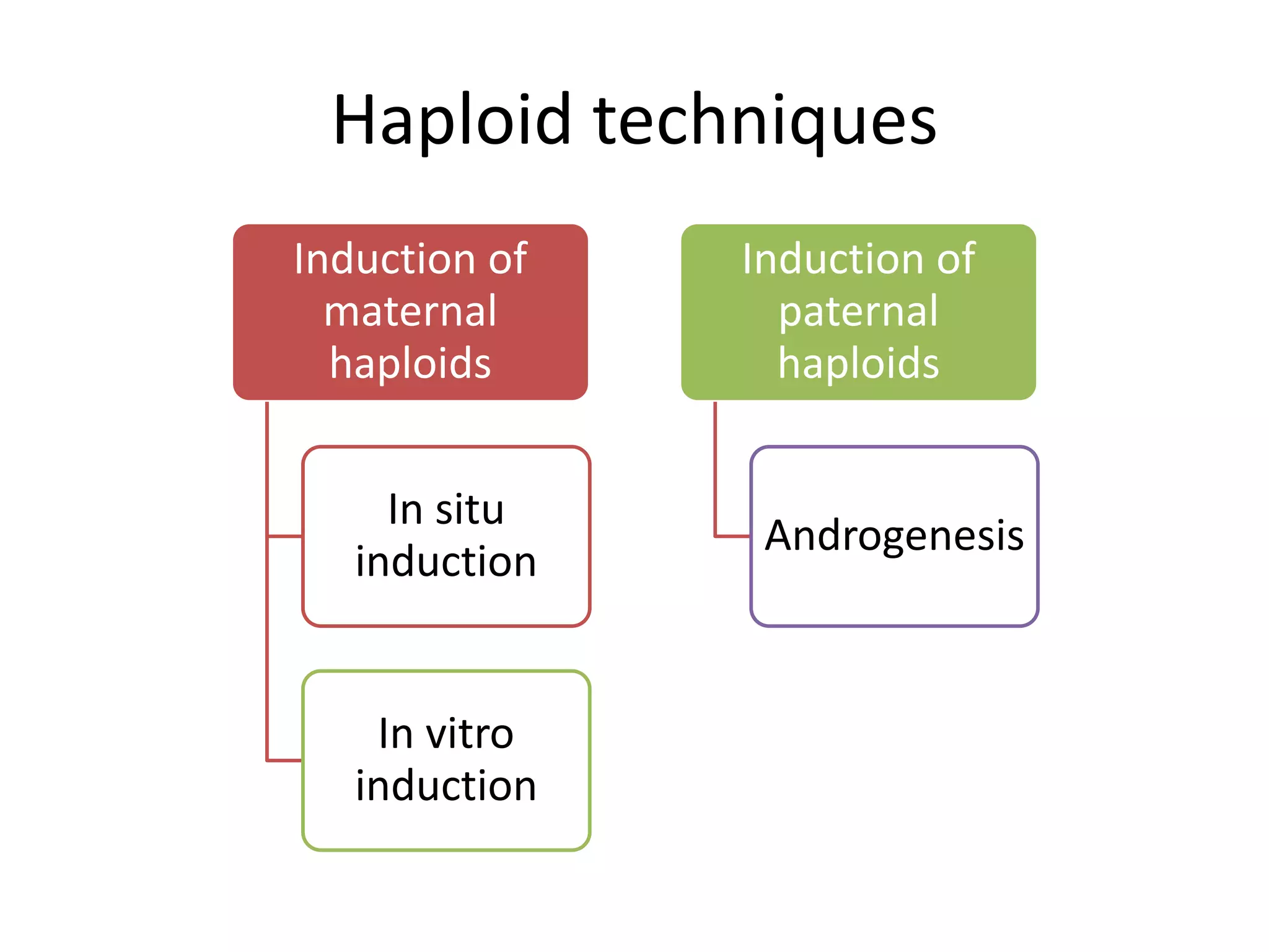 Double haploids | PPTX