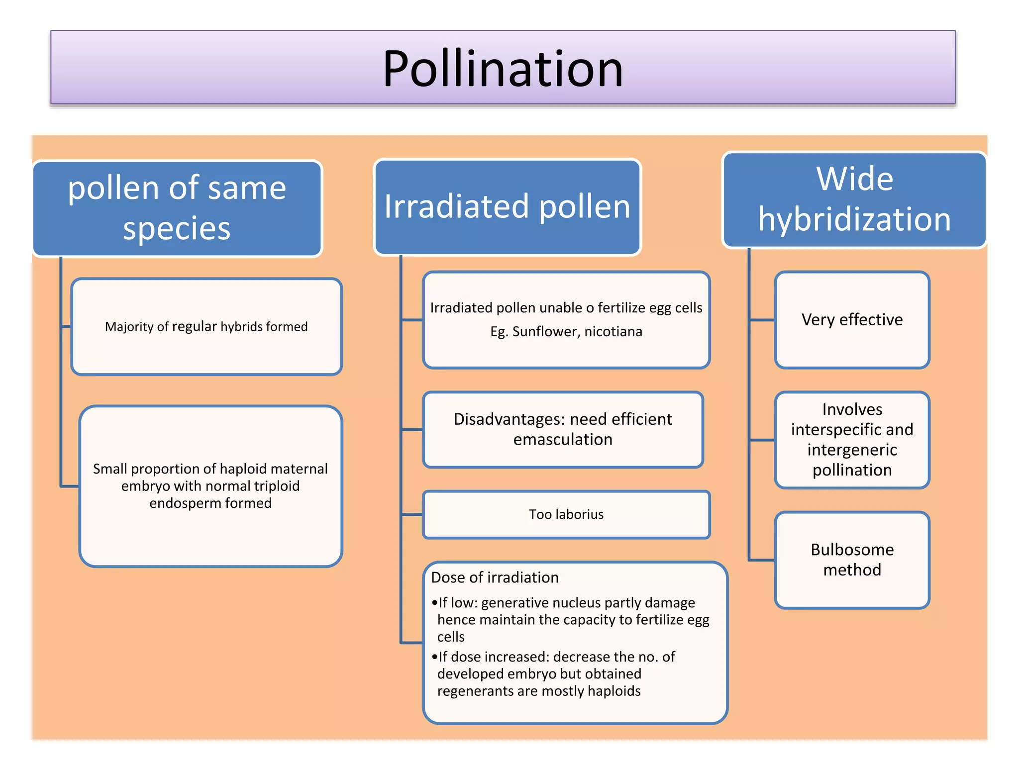 Double haploids | PPTX