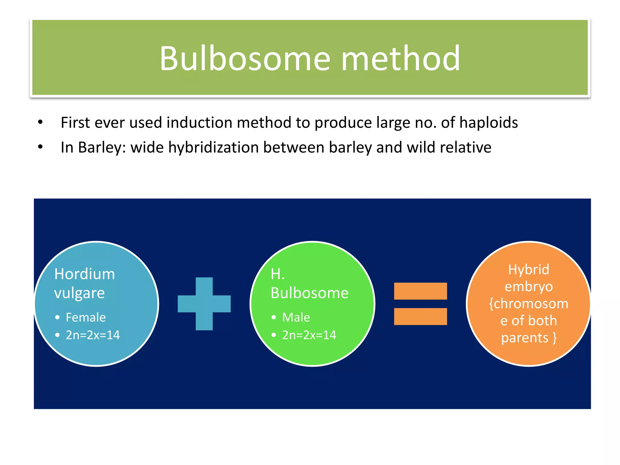 Double haploids | PPTX