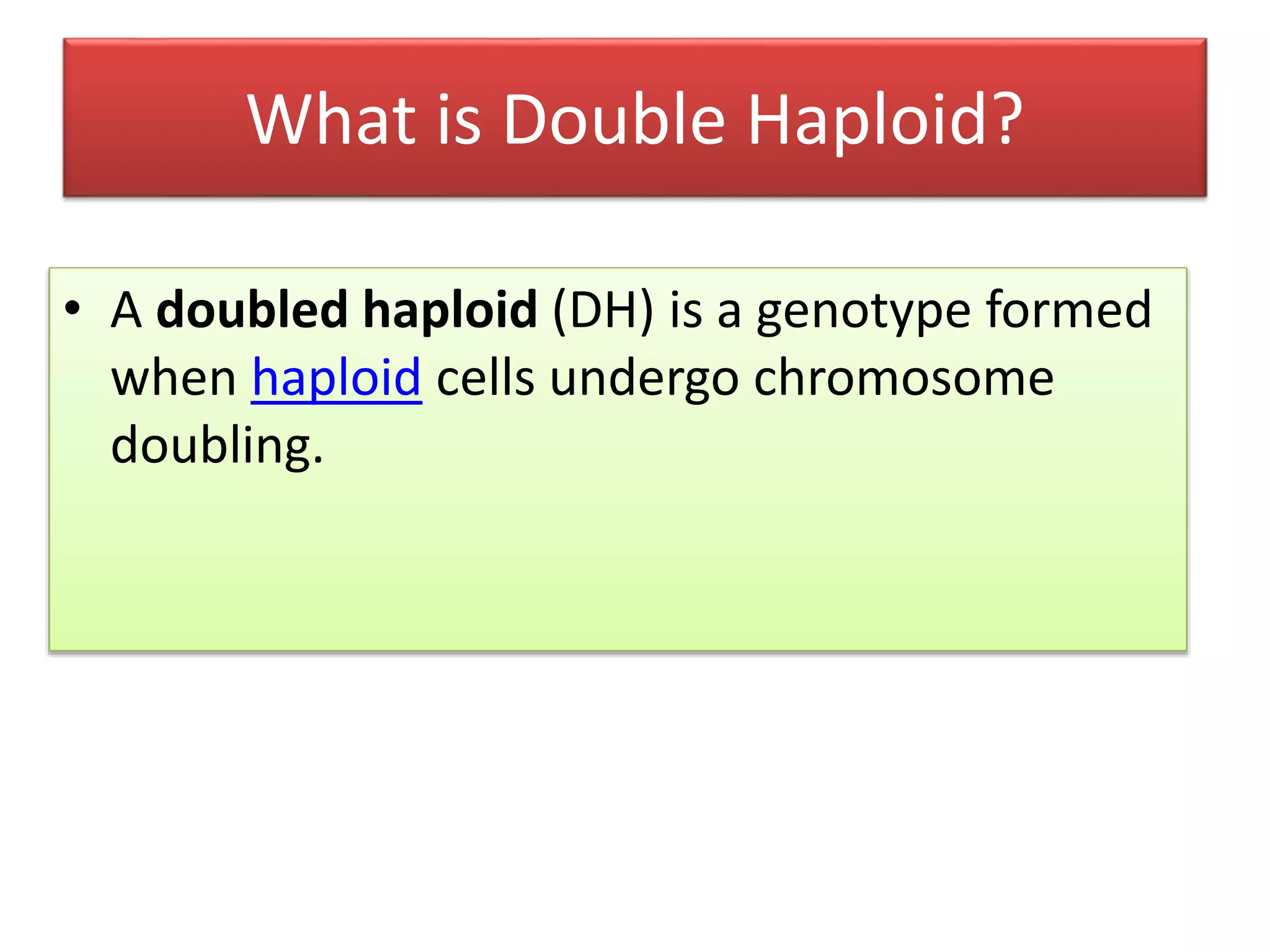 Double haploids | PPTX