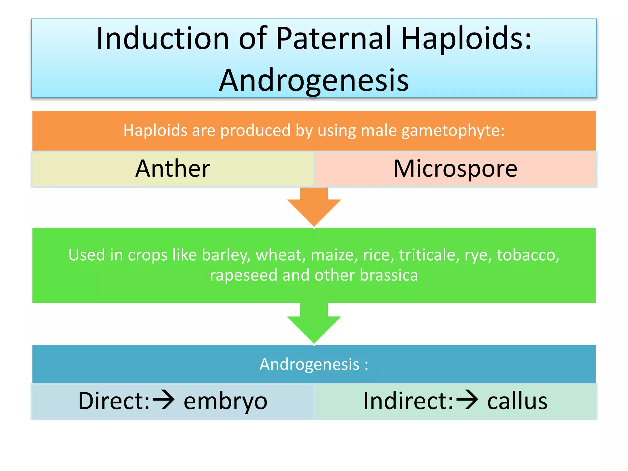 Double haploids | PPTX