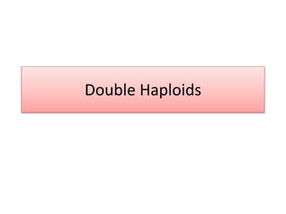 Double haploids | PPTX