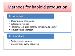 Double haploids | PPTX