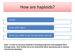 Double haploids | PPTX