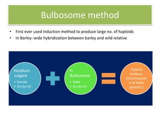 Double haploids | PPTX