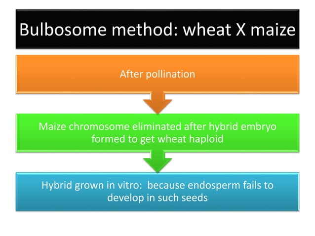 Double haploids | PPTX | Infertility | Reproductive Health