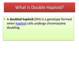 Double haploids | PPTX