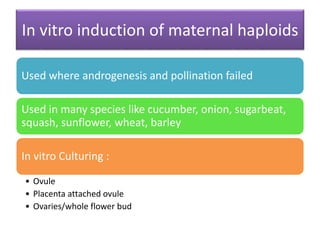 Double haploids | PPTX