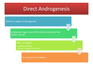 Double haploids | PPTX
