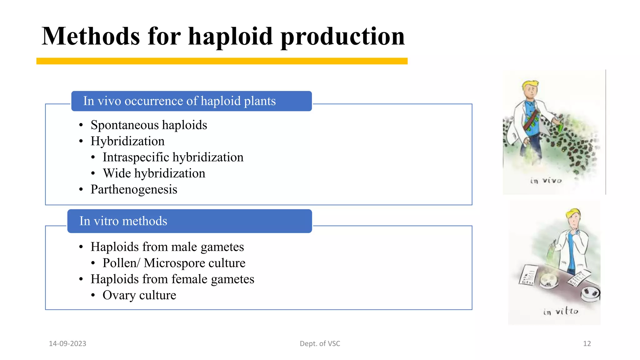 double haploids in horti crop improvement.pptx
