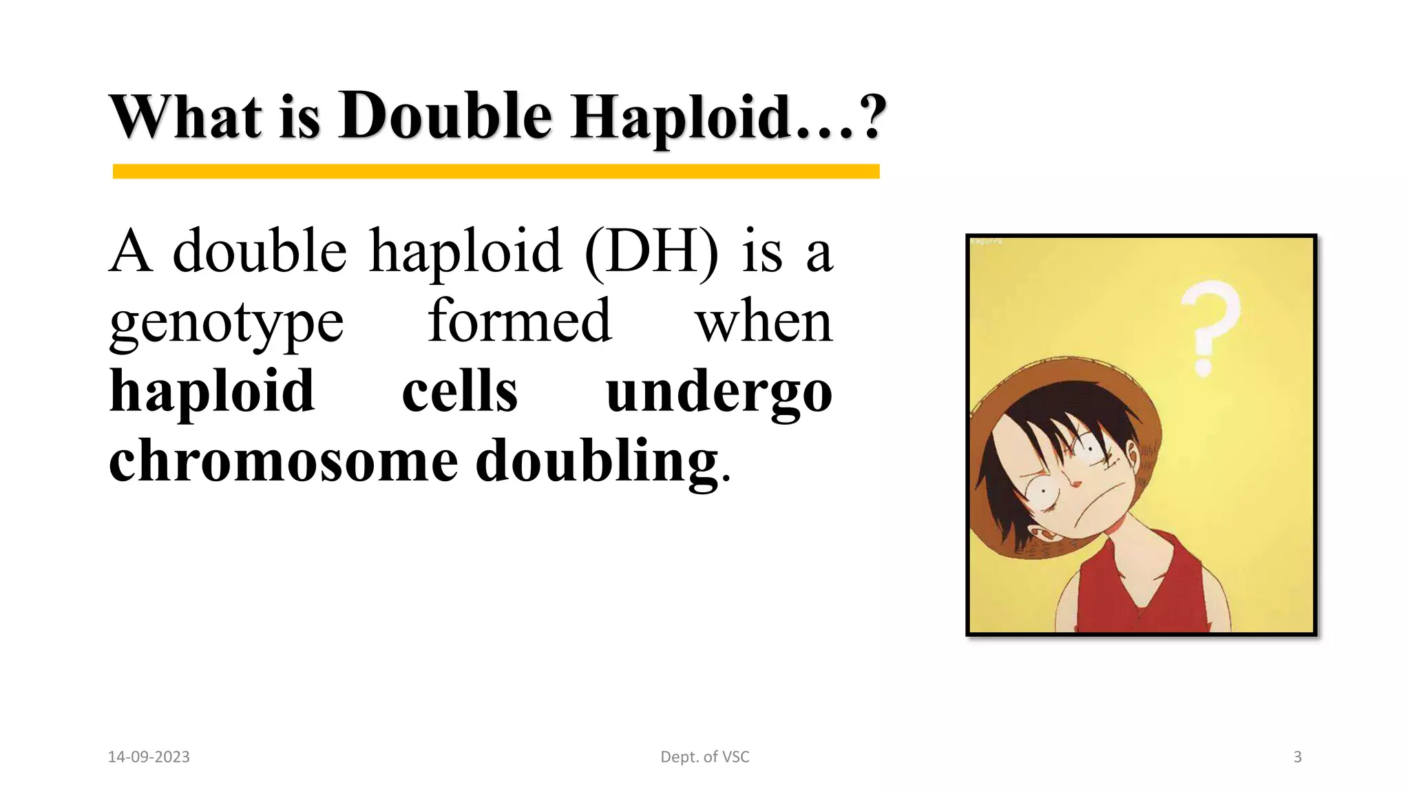 double haploids in horti crop improvement.pptx