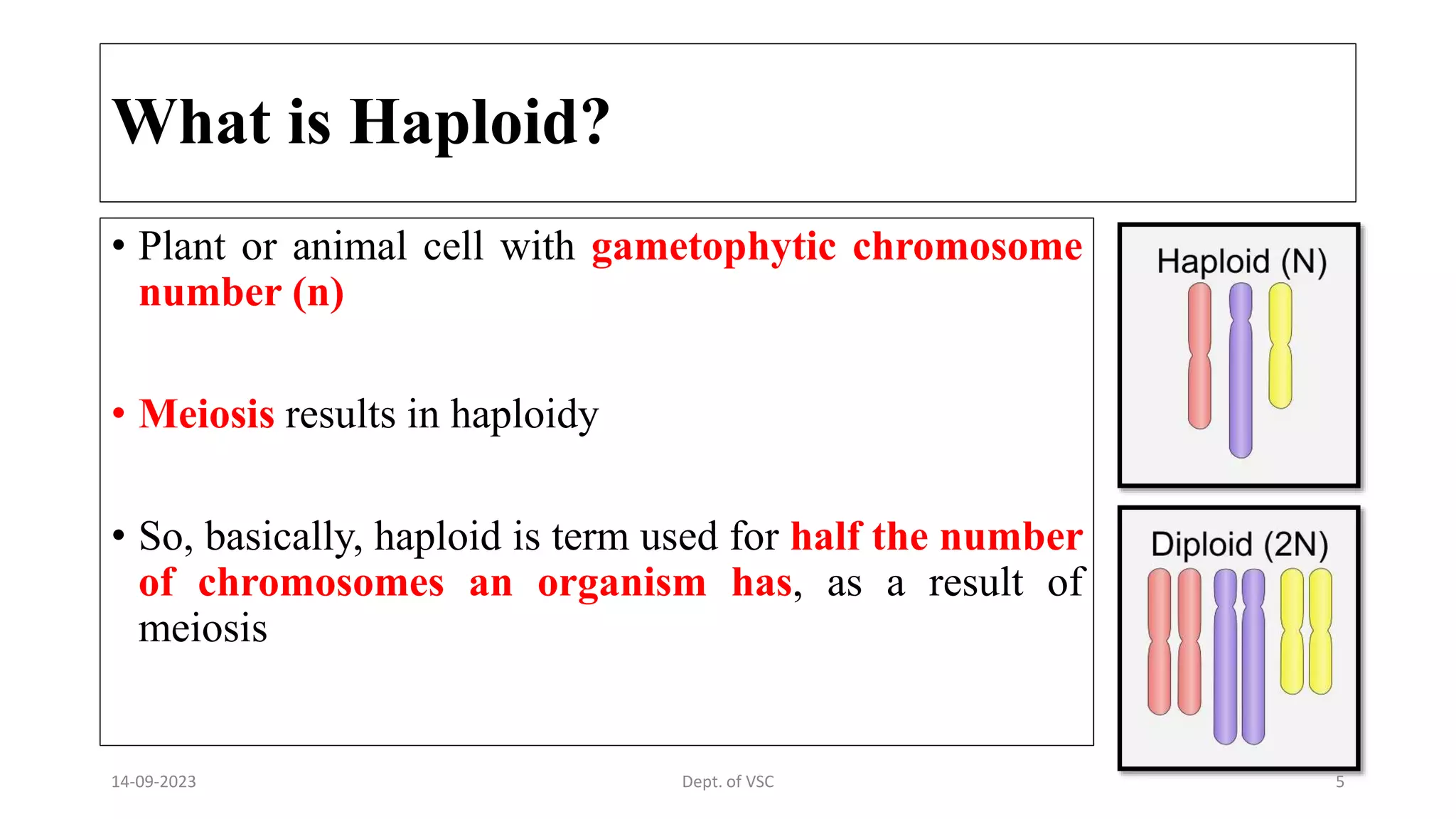 double haploids in horti crop improvement.pptx