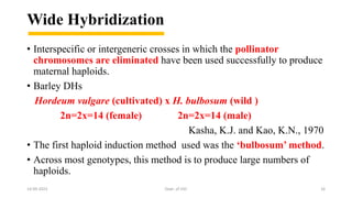 double haploids in horti crop improvement.pptx