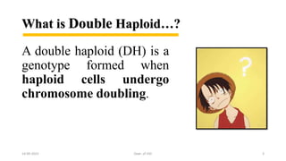 double haploids in horti crop improvement.pptx