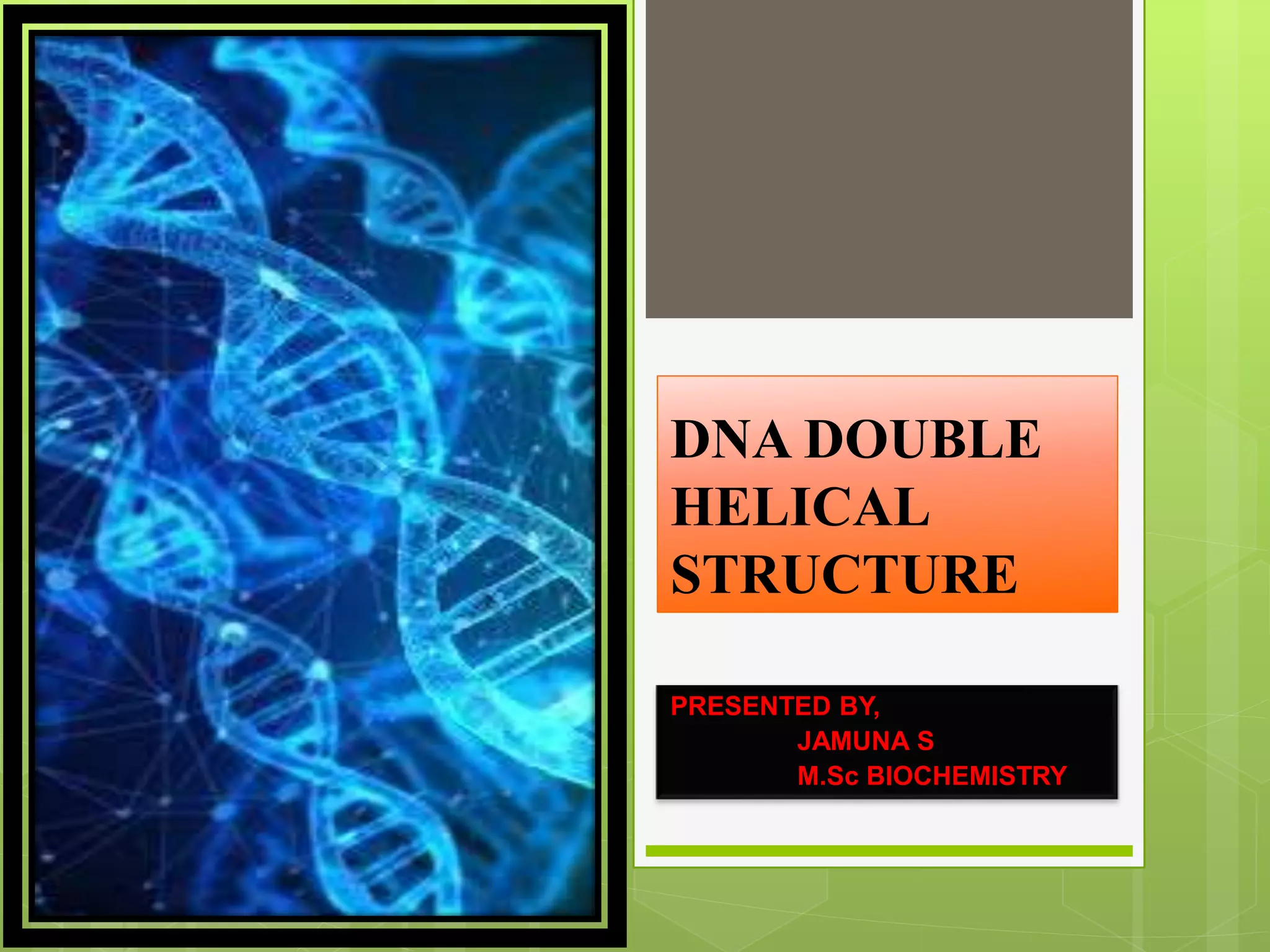 Double helical DNA - Structure and Definition. | PPTX