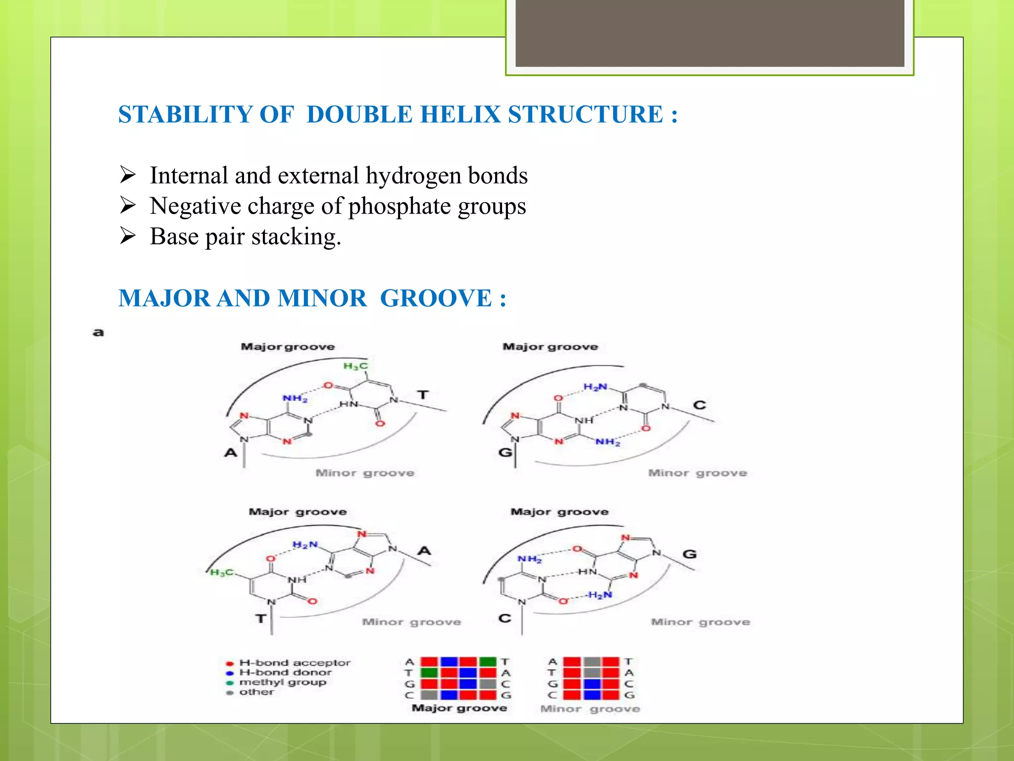 Double helical DNA - Structure and Definition. | PPTX