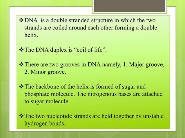 Double helical DNA - Structure and Definition. | PPTX