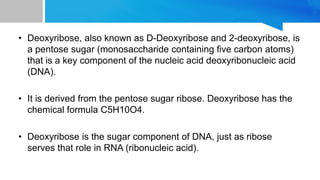 Double helix model of dna (kailash) | PPTX
