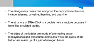Double helix model of dna (kailash) | PPTX