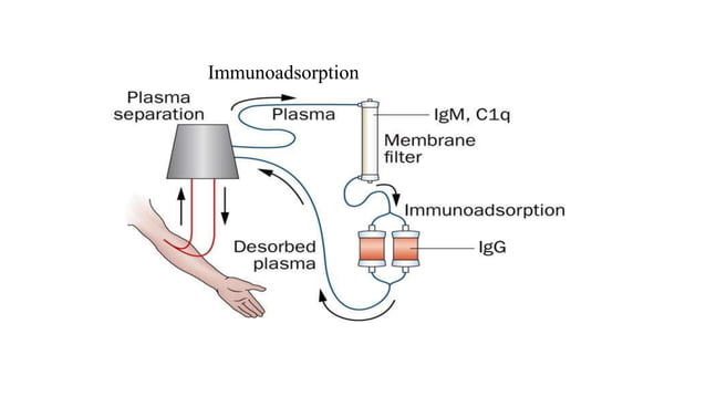 DOUBLE IMMUNODIFFUSION METHO(mancini method)D.pptx