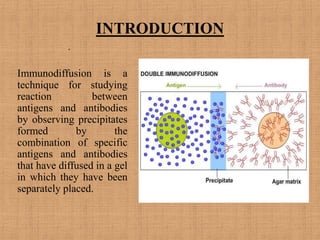 Double immunodiffusion technique | PPTX