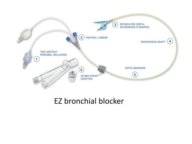 Double lumen tubes | PPTX