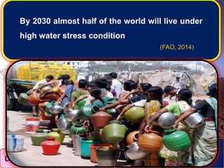 Double recirculation aquaponics system | PPT