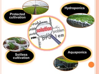Double recirculation aquaponics system | PPT