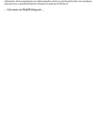 Double Spaced Mla Format Example Mla Style Resea | PDF | Aviation ...