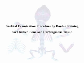 Double staining | PPTX
