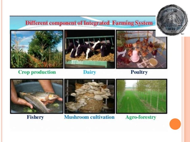 Doubling of farmers income | PPTX