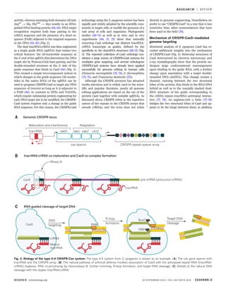 Doudna and-charpentier | PDF