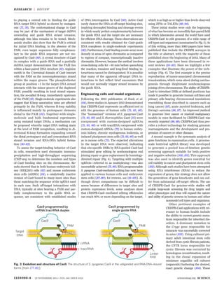 Doudna and-charpentier | PDF