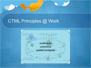 The Cognitive Theory of Multimedia Learning | PPTX