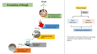 Dough quality measurements; bakery, RTE, RTC products.pptx