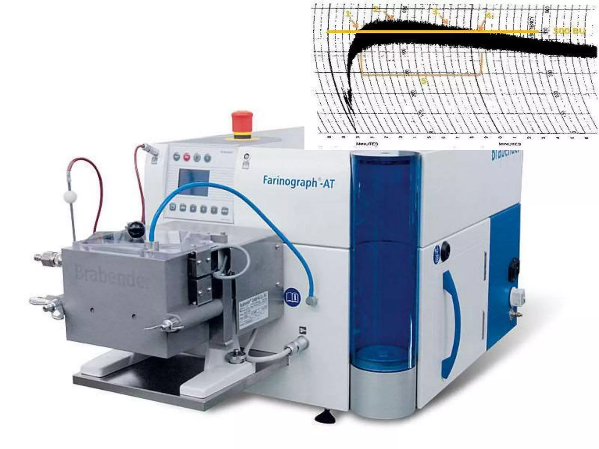Dough rheology | PPTX